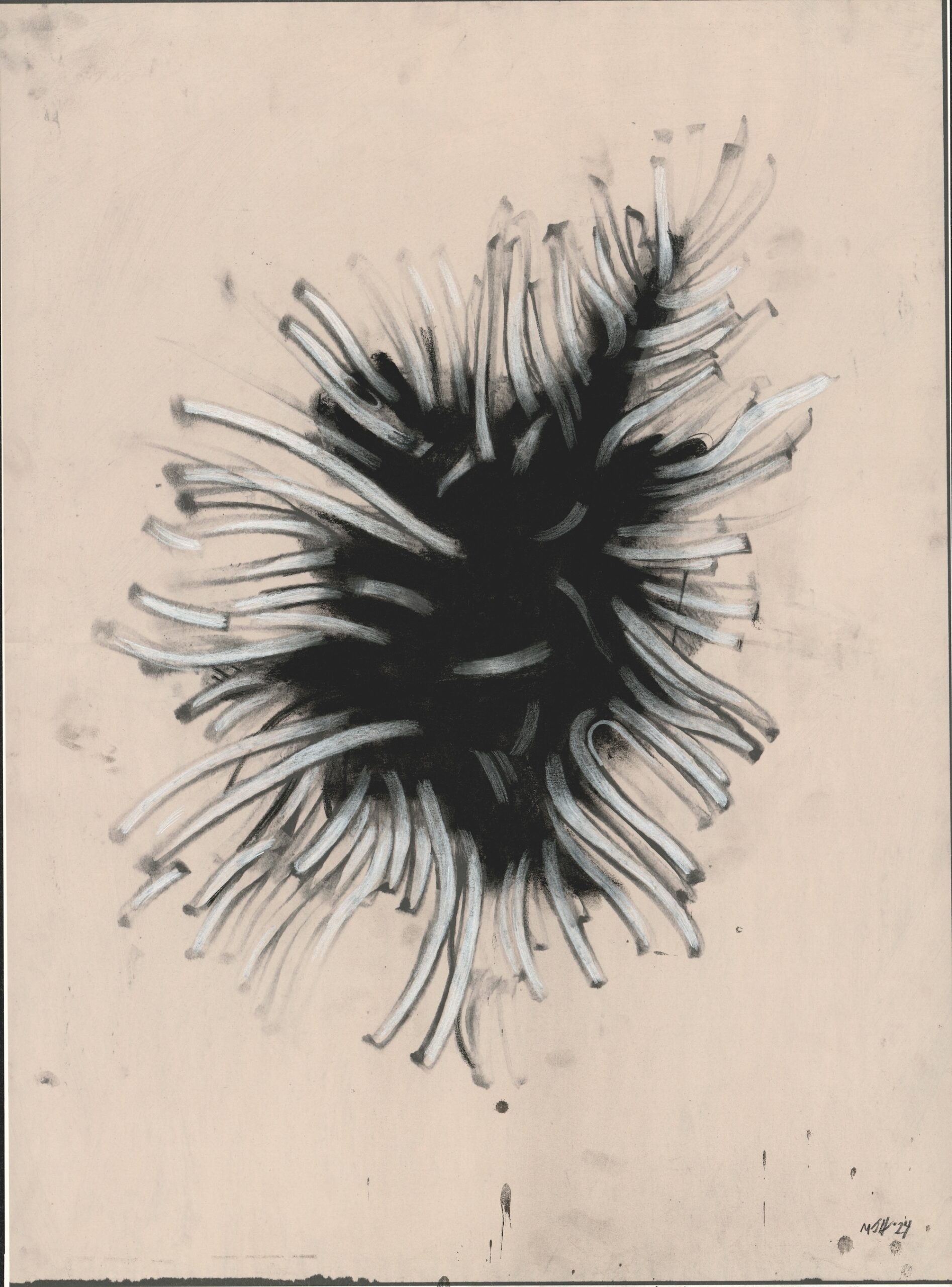 The Body of the Sun - ArtsEngine