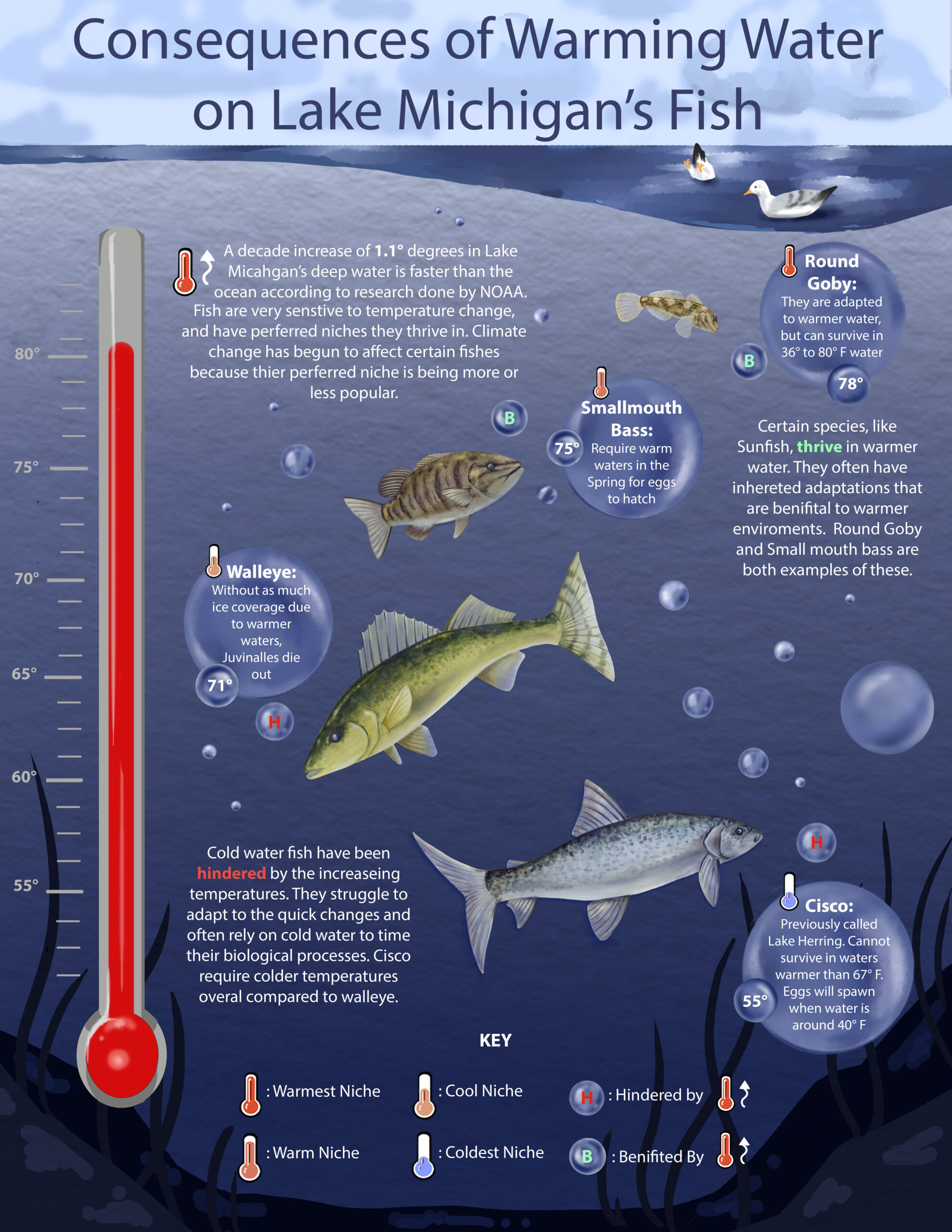 Anna Howell - ArtsEngine